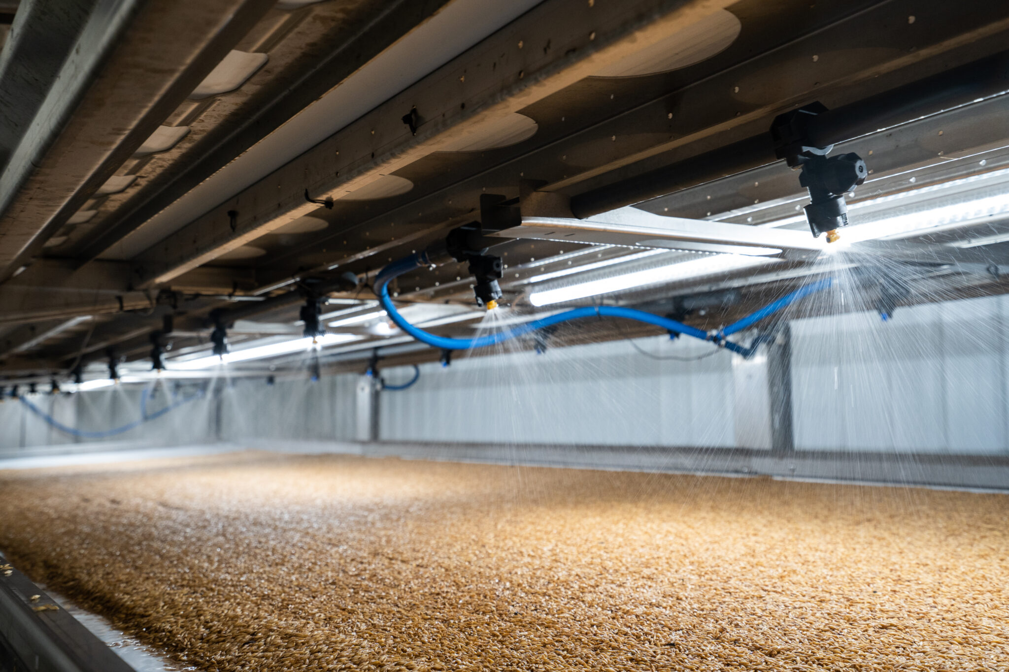 Fodder Feed Farm Systems - Cultivatd