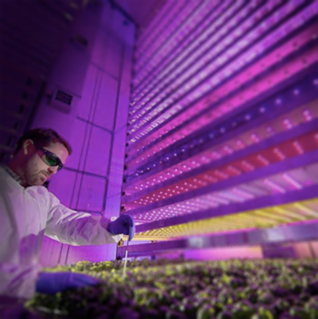 Farm Services - Cultivatd