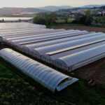 Greenhouses - Cultivatd