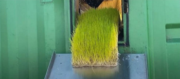 Fodder Feed Farm Systems - Cultivatd