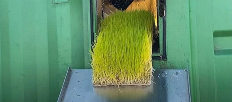 Fodder Feed Farm Systems - Cultivatd