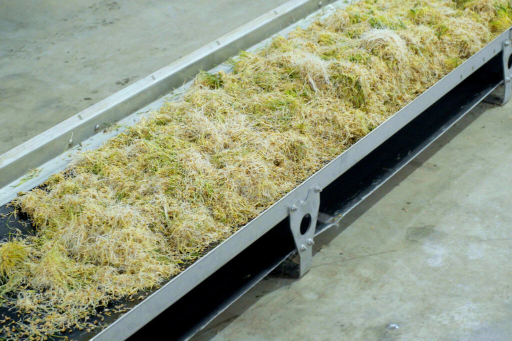 Fodder Feed Farm Systems - Cultivatd